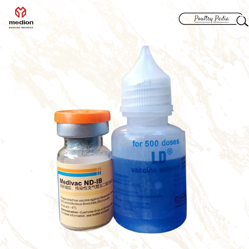 Jual Vaksin ND IB 500 Dosis + Pelarut - vaksinTetelo dan Infeksius ...