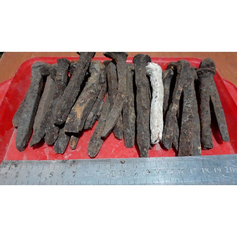 Jual paku kapal temuan sungai | Shopee Indonesia