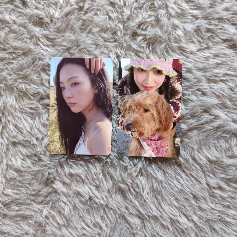 Jual PC Photocard Red Velvet Seulgi 28 Reasons Joy Hello Benji | Shopee ...
