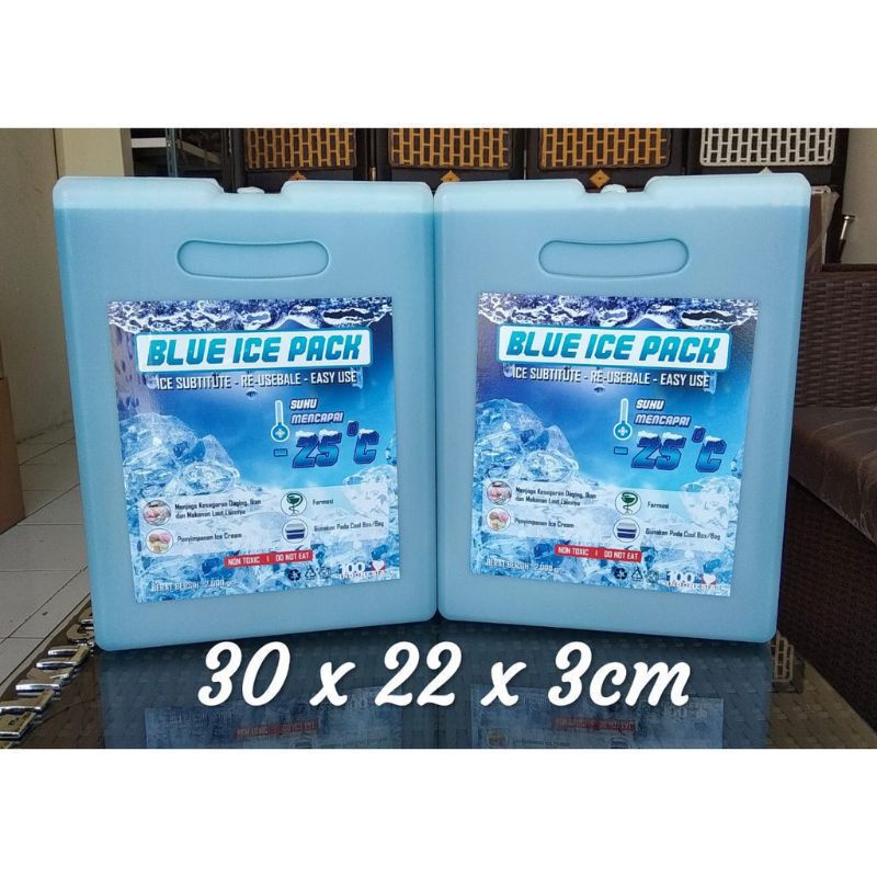 Jual Ice Pack Jumbo 30x22x3cm Blue Ice Pack Gel Thermafreeze | Shopee ...