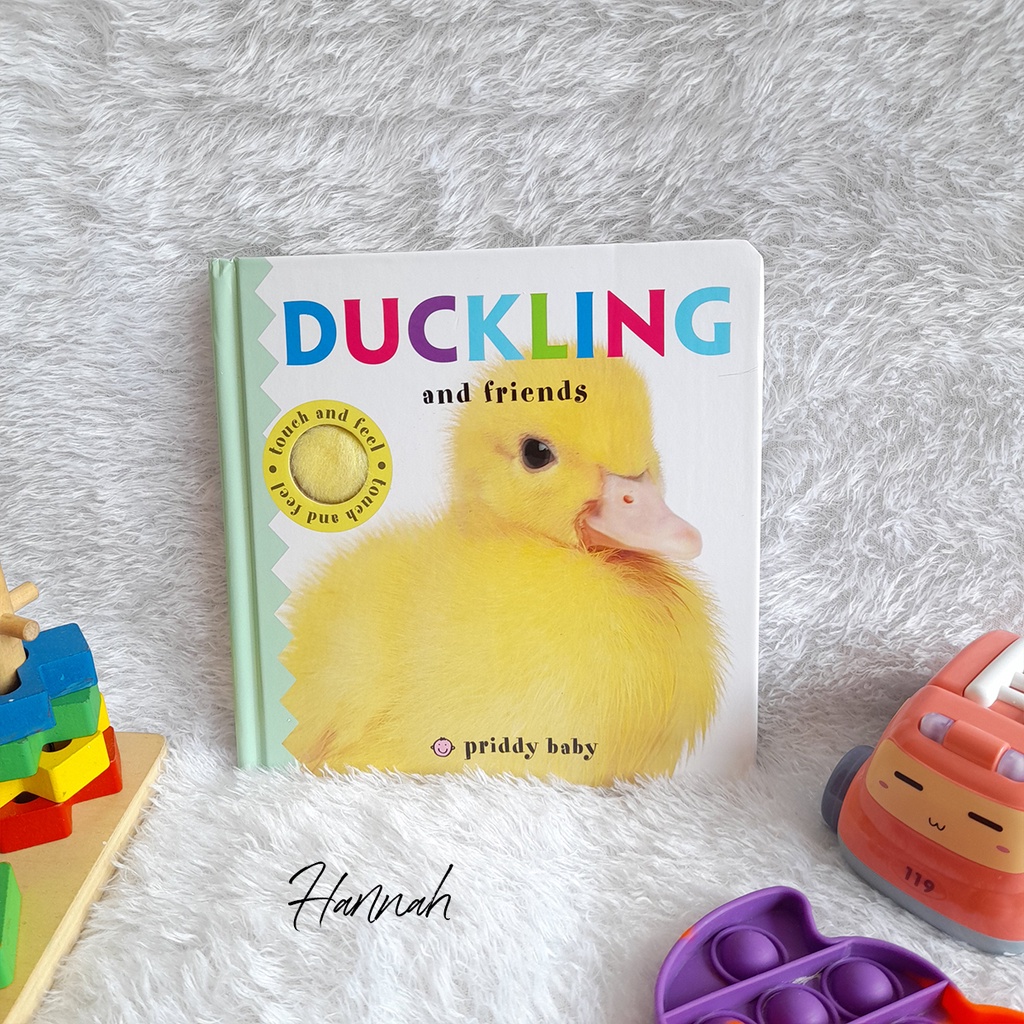 Jual Touch and Feel Book/Kitten & Duckling and Friends | Shopee Indonesia