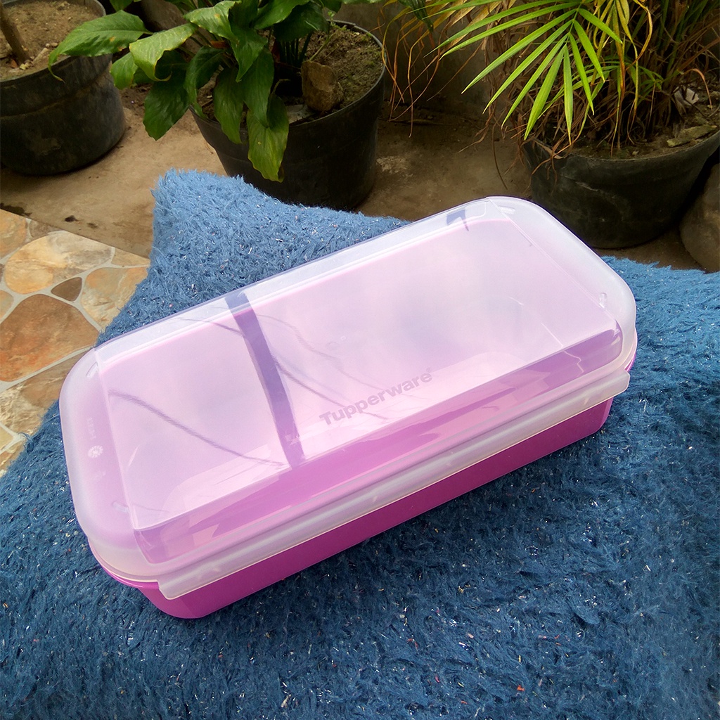 Jual Tempat Roti / Kue Tupperware Mini Signature 980 ML | Shopee Indonesia