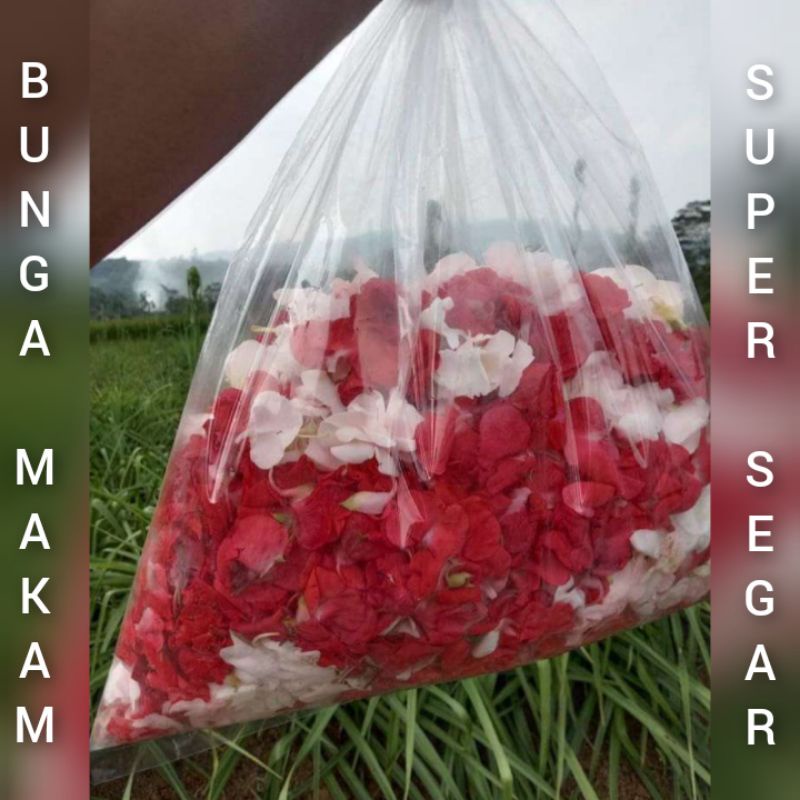 Jual Bunga Tabur Makam/bunga pihong 400 gram murah | Shopee Indonesia