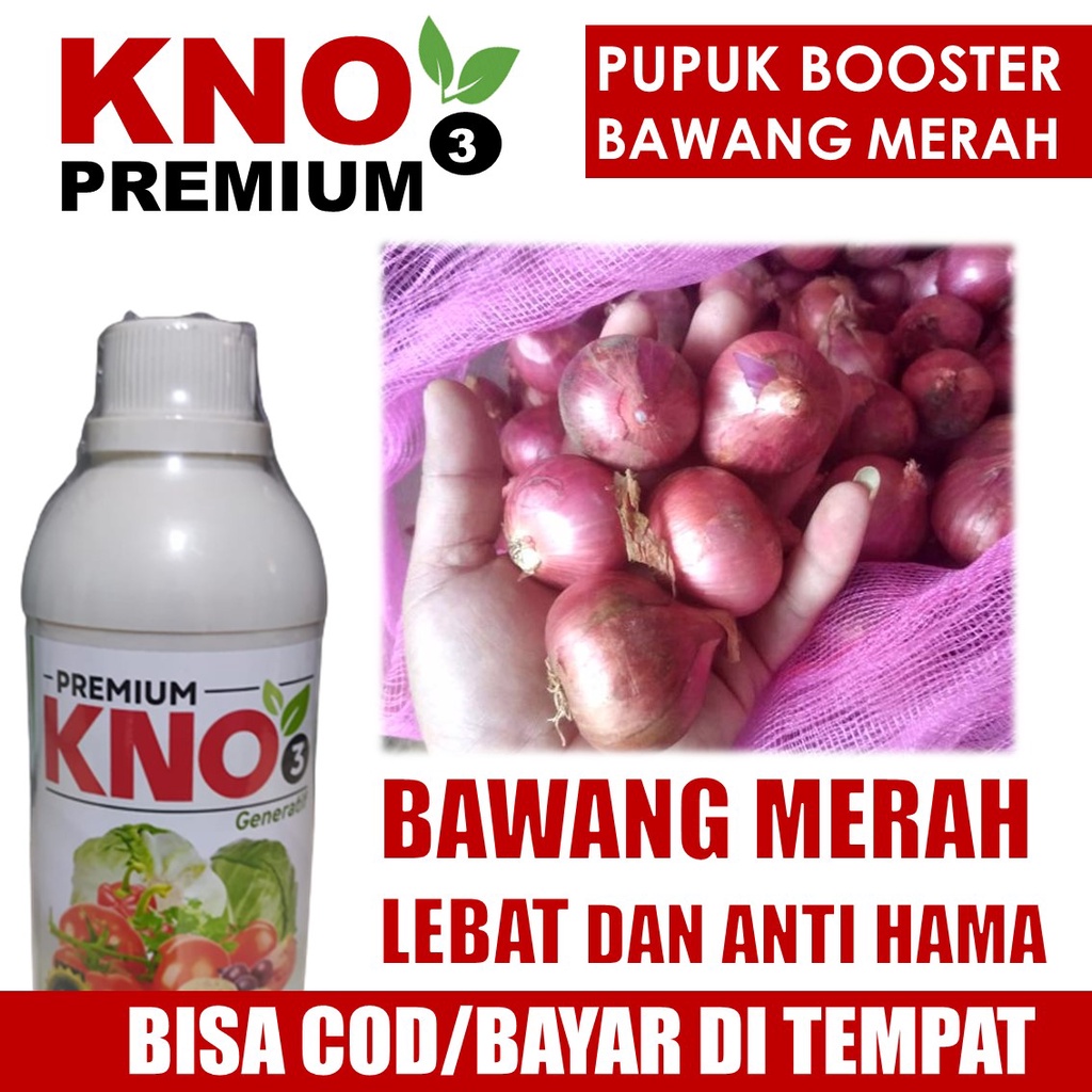 Jual 500 ml KNO3 PREMIUM Obat Pelebat BAWANG MERAH - Pupuk Penyubur BAWANG MERAH - Pupuk KALIUM ...