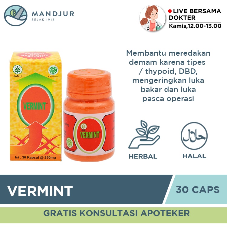 Jual Vermint 30 Kapsul - Obat Demam Tipes dan DBD | Shopee Indonesia