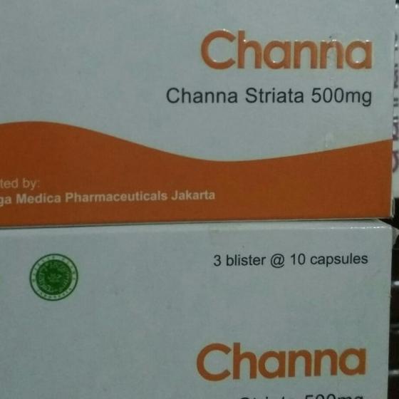 Jual channa striata 500mg ekstrak ikan gabus | Shopee Indonesia