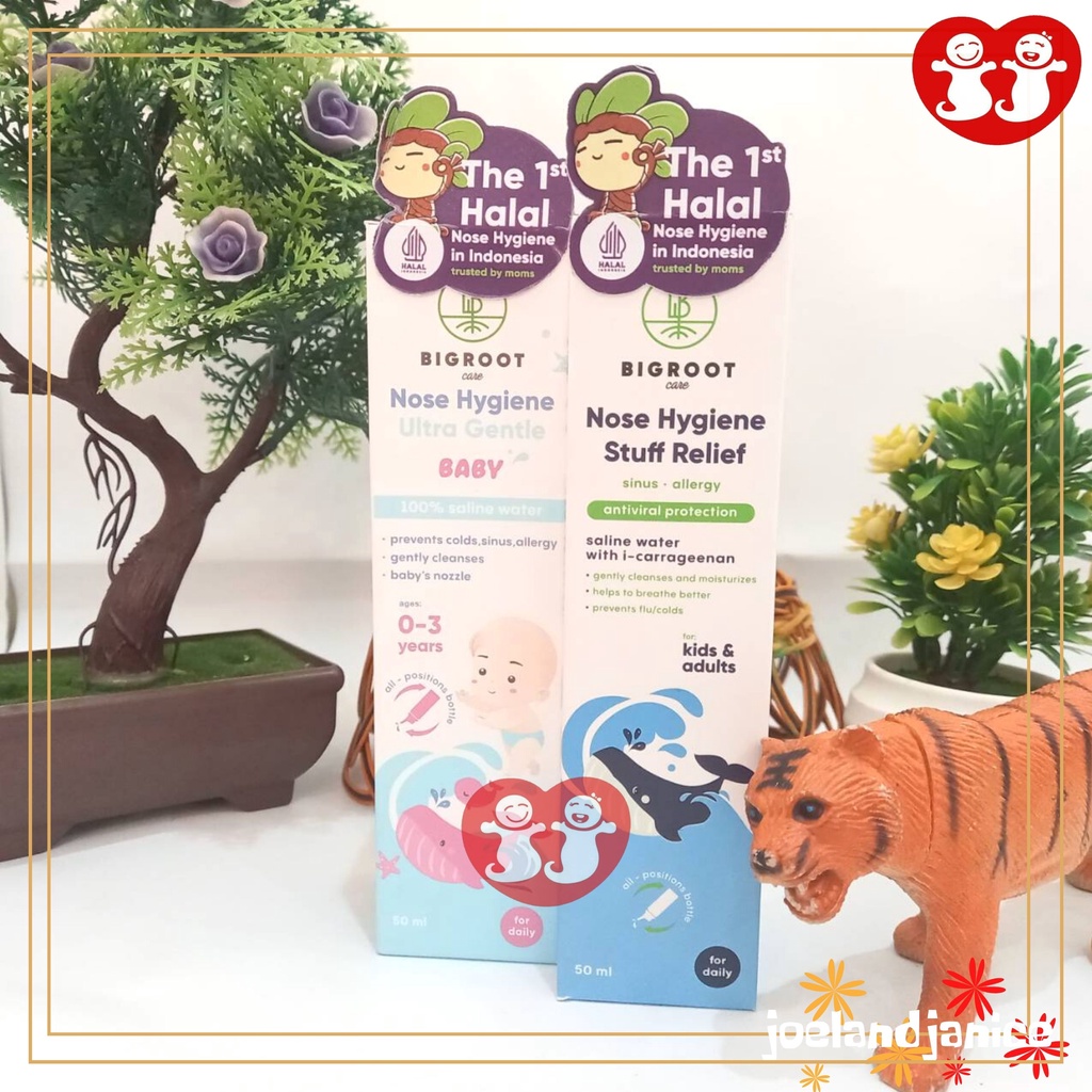 Jual BIGROOT Nose Hygiene 50ML - Kids Adult Nasal Spray Semprotan ...