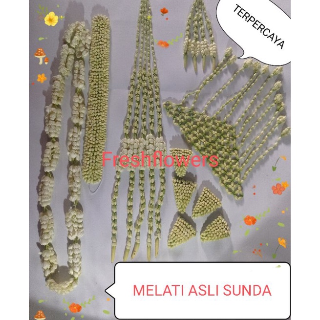 Jual (TERMURAH) ronce roncean bunga melati asli sunda lengkap cewek dan ...