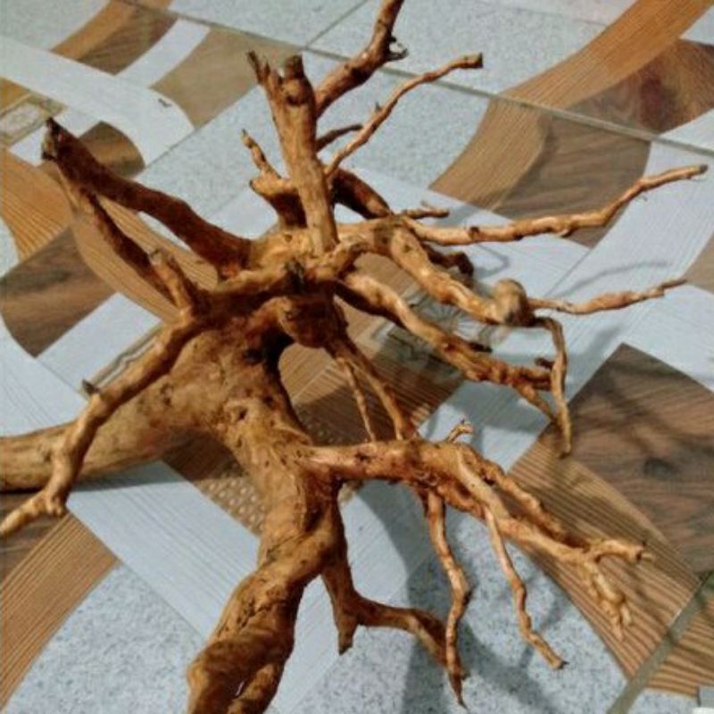 Jual kayu rasamala ukuran jumbo,xl,L,m,s kayu rasamala aquascape dan ...