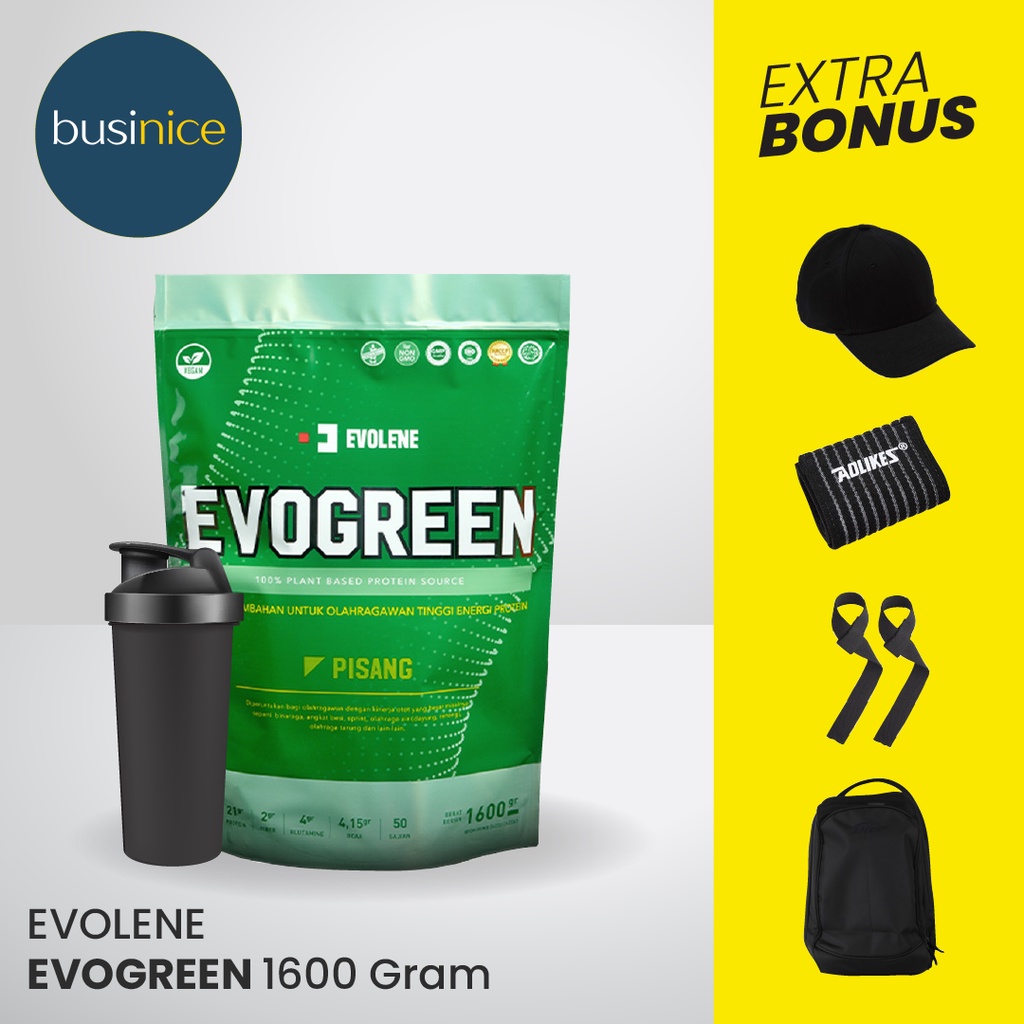 Jual Evolene Evogreen 50s Plant Based Protein Vegan Whey Protein ...