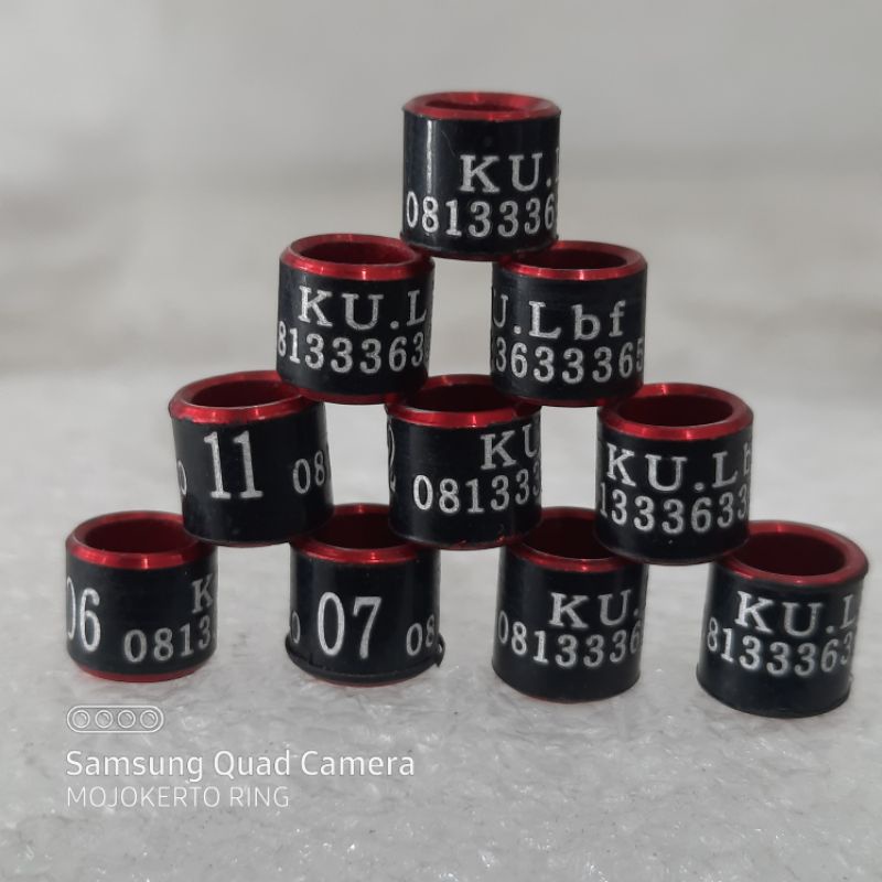 Jual RING BURUNG CUSTOM MURAH/RING MURAI/RING KENARI/RING MERPATI/RING ...