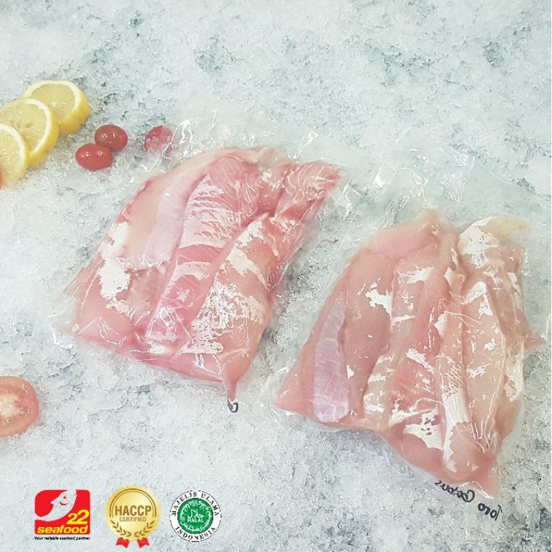 Jual Ikan Gabus Belly 500 gr / Gabus Laut Cobia / Seafood 22 | Shopee ...