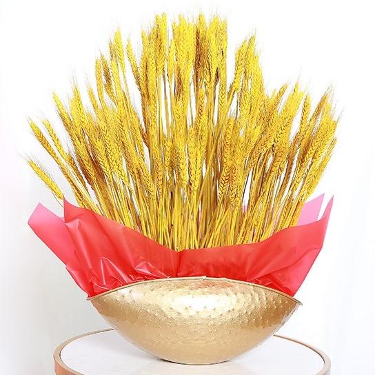 Jual Vas Bunga Tembaga Mangkok Ceper Pot Bunga Logam Emas Bunga Natal ...