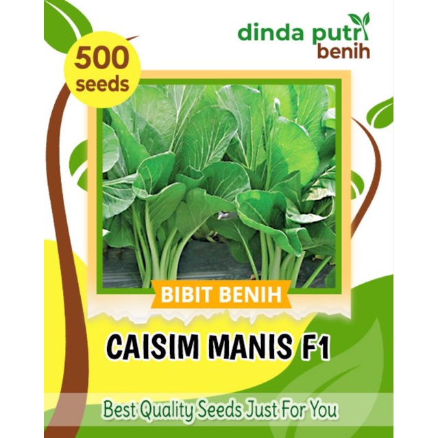 Jual Benih Caisim Manis F1 / Isi 500 biji/ Benih sayuran Super | Shopee ...