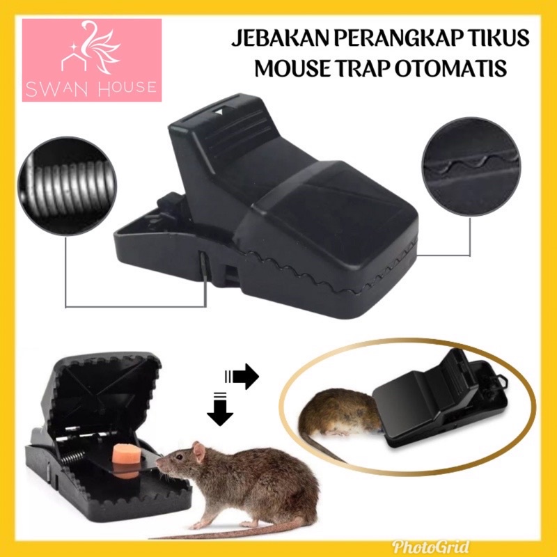 Jual alat jepit tikus kuat perangkap tikus super trap tikus jepitan ...