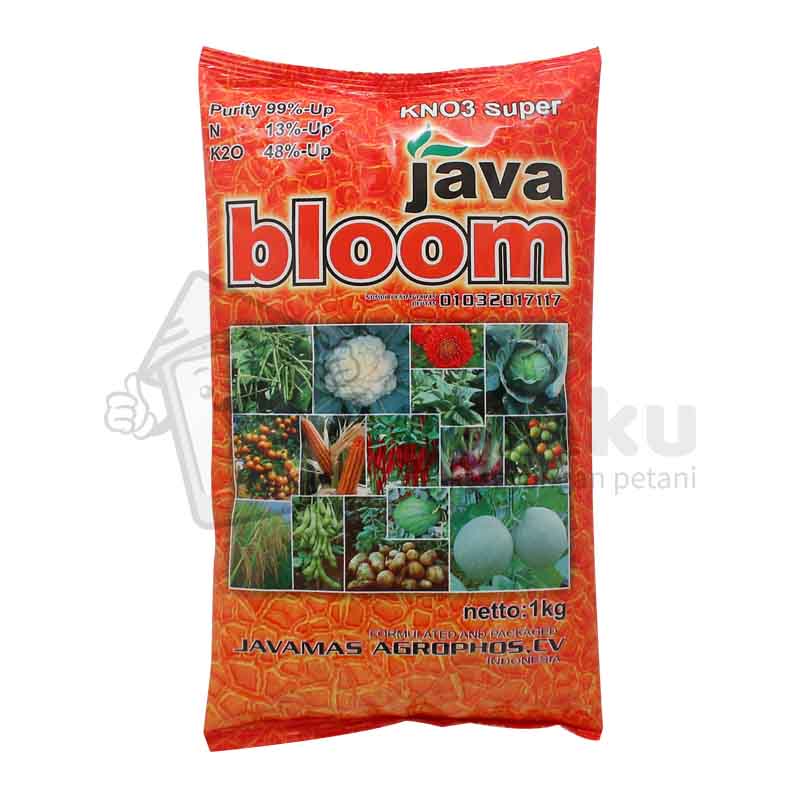 Jual Java Bloom 1Kg | Shopee Indonesia