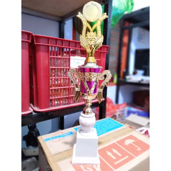 Jual PIALA CUP BINTANG | TROPHY KEJUARAAN SATUAN | PIALA SATUAN MURAH ...