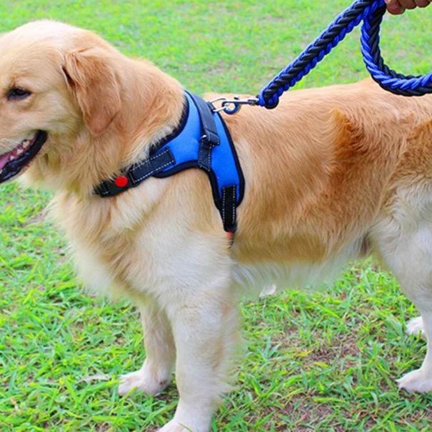 Jual Tali Tuntun Badan Anjing Sedang Besar Leash Harness Vest Large Dog ...