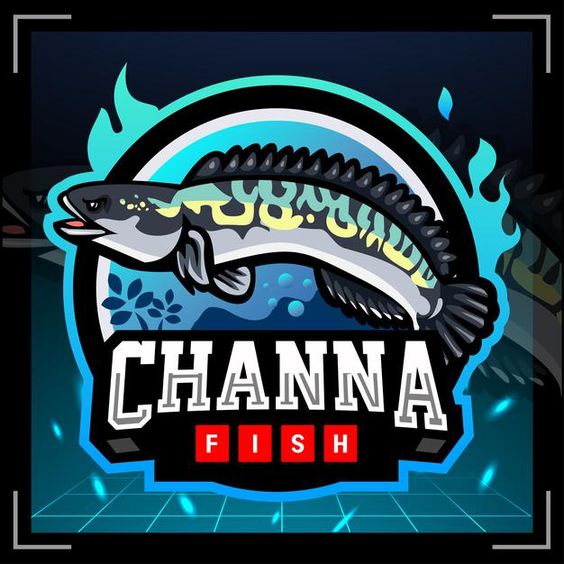 Jual STICKER CHANNA | Shopee Indonesia
