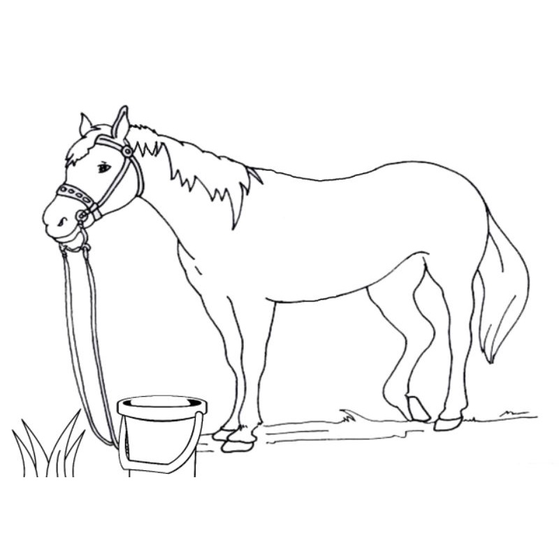 Jual Buku / lembar mewarnai gambar kuda | Shopee Indonesia