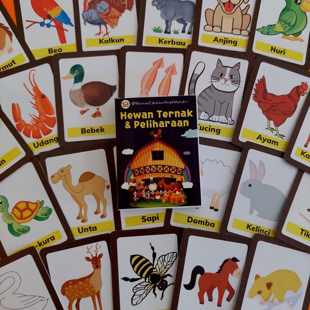 Jual FLASH CARD EDUKASI ANAK Flashcard Kartu Pintar Balita Kartu ...