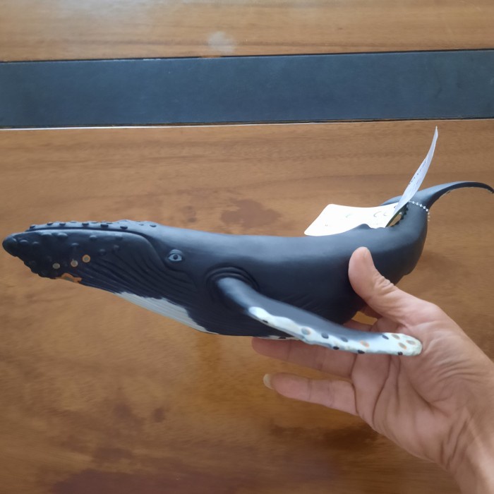 Jual Mainan Ikan Paus Biru Figure Ocean World Whale Blue Jumbo Size ...