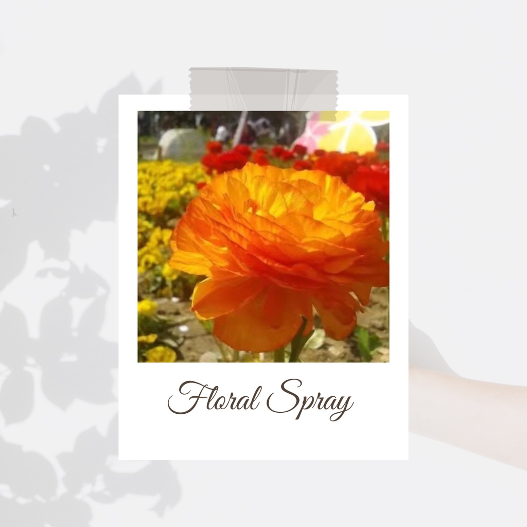 Jual FLORAL COLOR SPRAY PEWARNA CAT BUNGA DESIGN MASTER | Shopee Indonesia