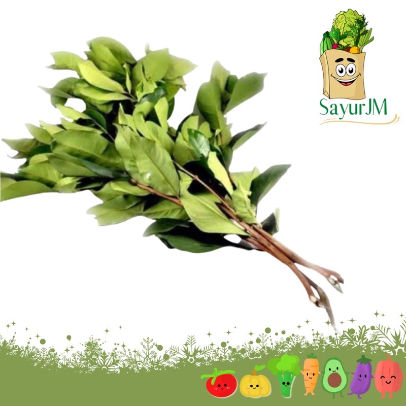 Jual SayurJM - Daun Salam Per ikat / Sayur Segar / Sayuran Segar ...