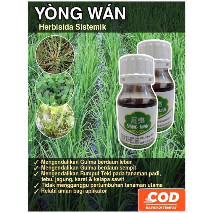 Jual Yong Wan,Herbisida sistemik,Herbisida sistemik selektif,Herbisida ...