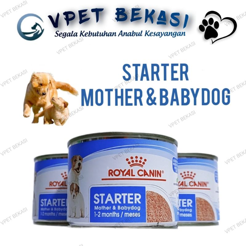 Jual Royal Canin Starter Mousse Mother And Baby Dog Kaleng 195GR ...