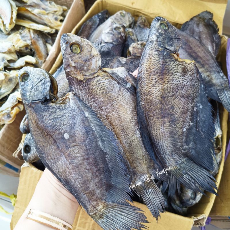 Jual IKAN ASIN SEPAT SIAM JUMBO KALIMANTAN 250gr MAMA KHAS BANJAR ...