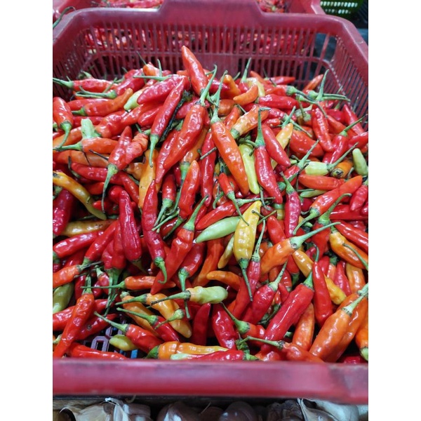 Jual Cabe Rawit Merah | Shopee Indonesia