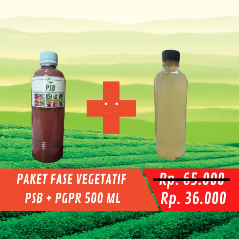 Jual Paket Pupuk Vegetatif Pupuk Organik Cair (POC) PSB + PGPR 500 ML ...