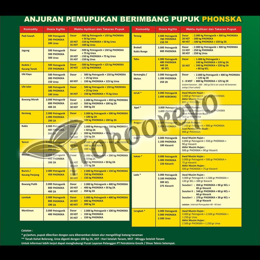 Jual PUPUK NPK PHONSKA PLUS 15 15 15 KEMASAN PABRIK 25 KG VIA CARGO ...