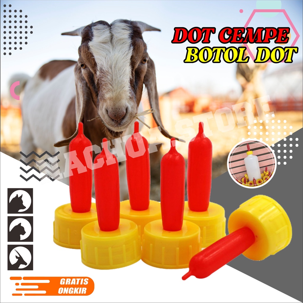 Jual DOT CEMPE//BOTOL DOT CEMPE | Shopee Indonesia