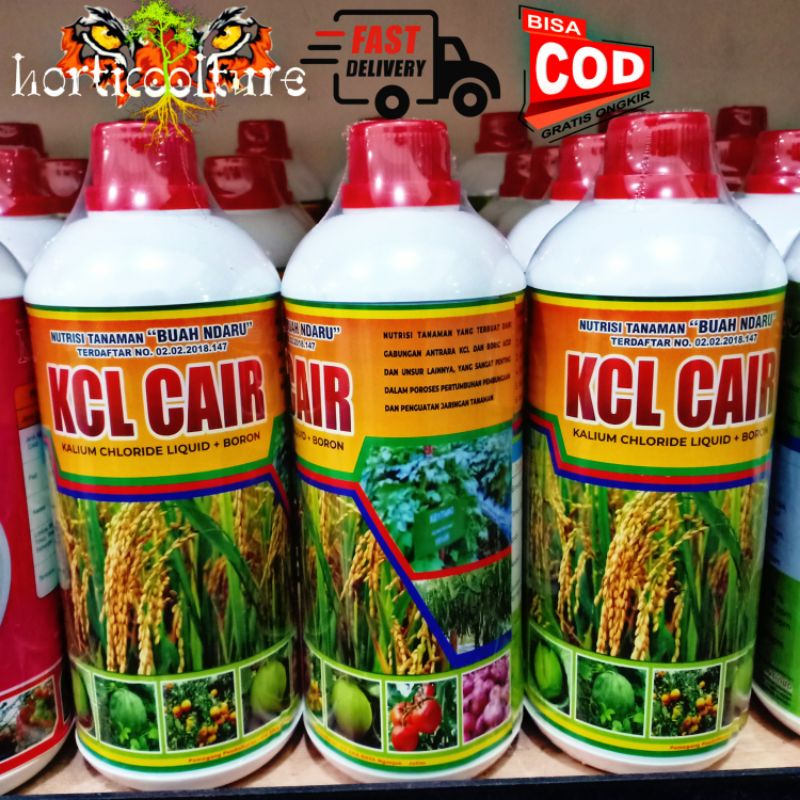 Jual pupuk kcl cair 1 liter kalium cair dan boron | Shopee Indonesia