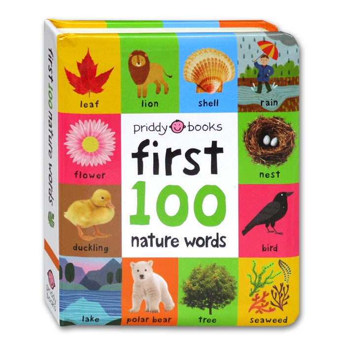 Jual Priddy Books First 100 Words & Early Learning (KD) | Shopee Indonesia