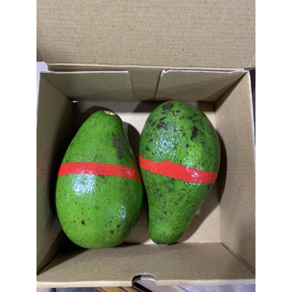 Jual Avocado /Alpokat mentega -1kg | Shopee Indonesia