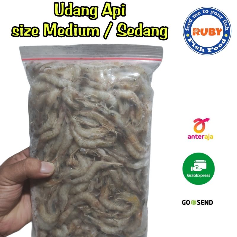 Jual UDANG API MEDIUM / UDANG API BEKU BERSIH DAN FRESH / UDANG API ...