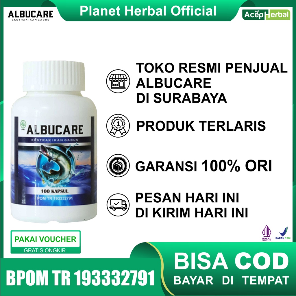 Jual Albucare Kapsul Kutuk Ikan Gabus Obat Pengering Luka Pasca Operasi Caesar Pengering Luka ...