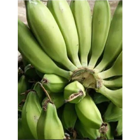 Jual pisang batu muda 1sisir | Shopee Indonesia