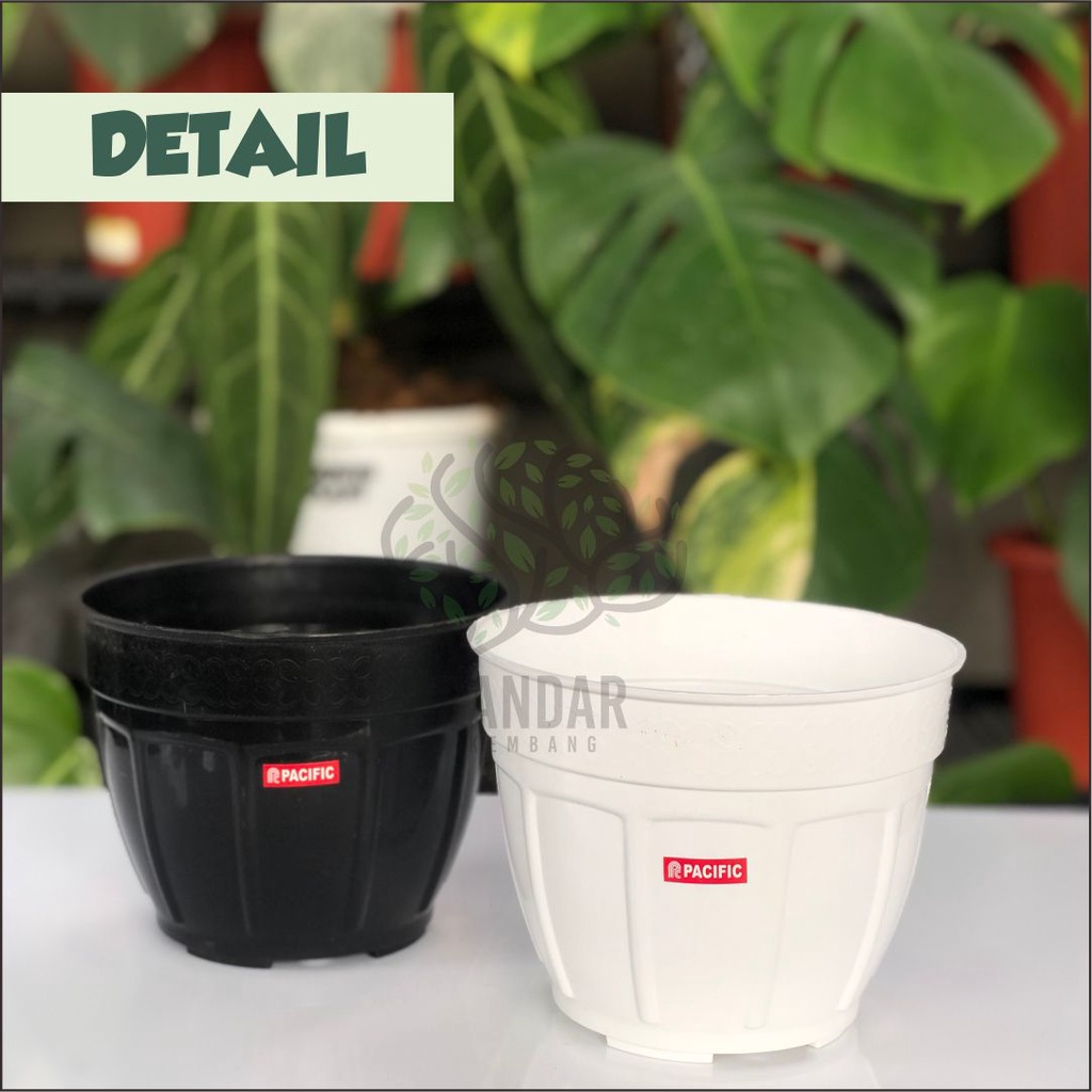 Jual Pot Tanaman 17 Pacific Ukuran 17 Warna Hitam & Putih - Pot Bunga ...
