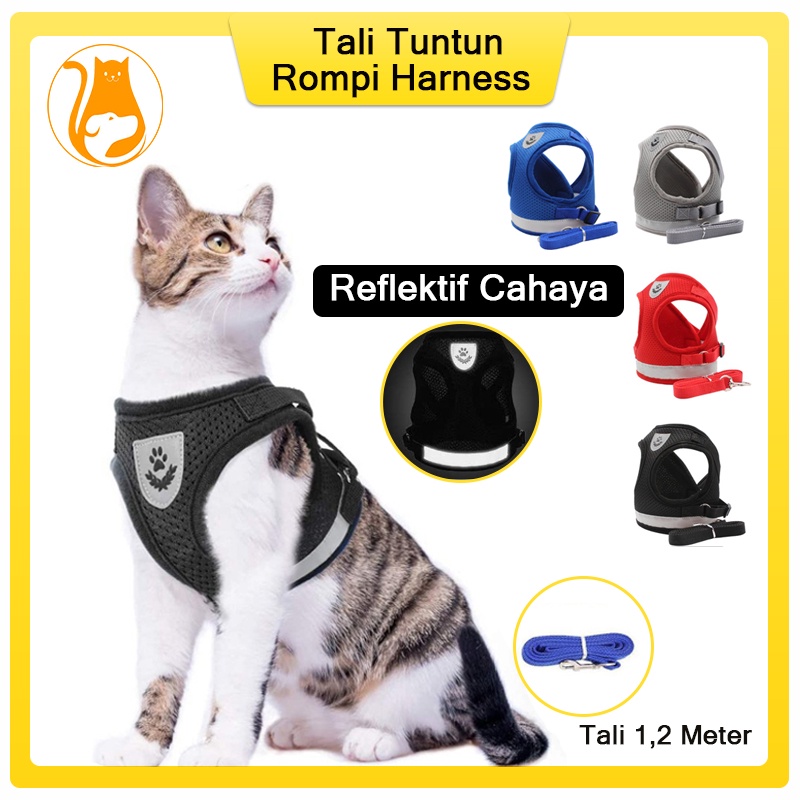 Jual Tali Kucing Harness Anjing Kucing Tali Tuntun Kucing Tali Kucing ...