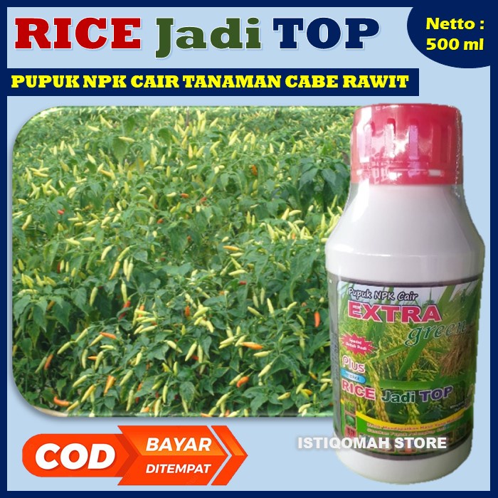 Jual PROMO COD RICE JADI TOP 500ML Pupuk NPK Cair Pelebat Buah Cabe Rawit - Pupuk untuk ...