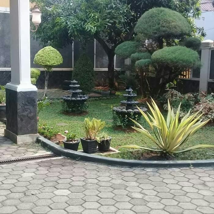 Jual Jasa Pemasangan Taman Rumput Gajah Mini Shopee Indonesia