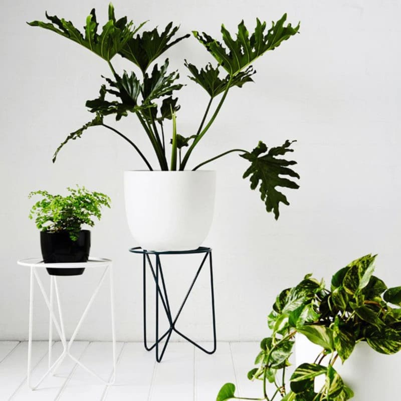 Jual D.20-35cm T.10-100cm Muse Standing Besi Tanaman Hias Dekorasi ...