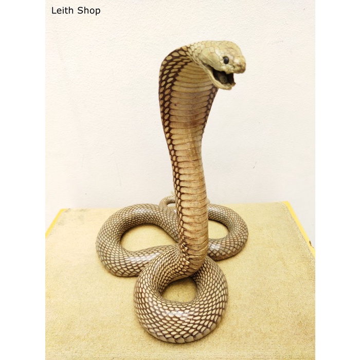 Jual populer] Patung Ular Kobra Statue Snake King Cobra Awetan Antik ...