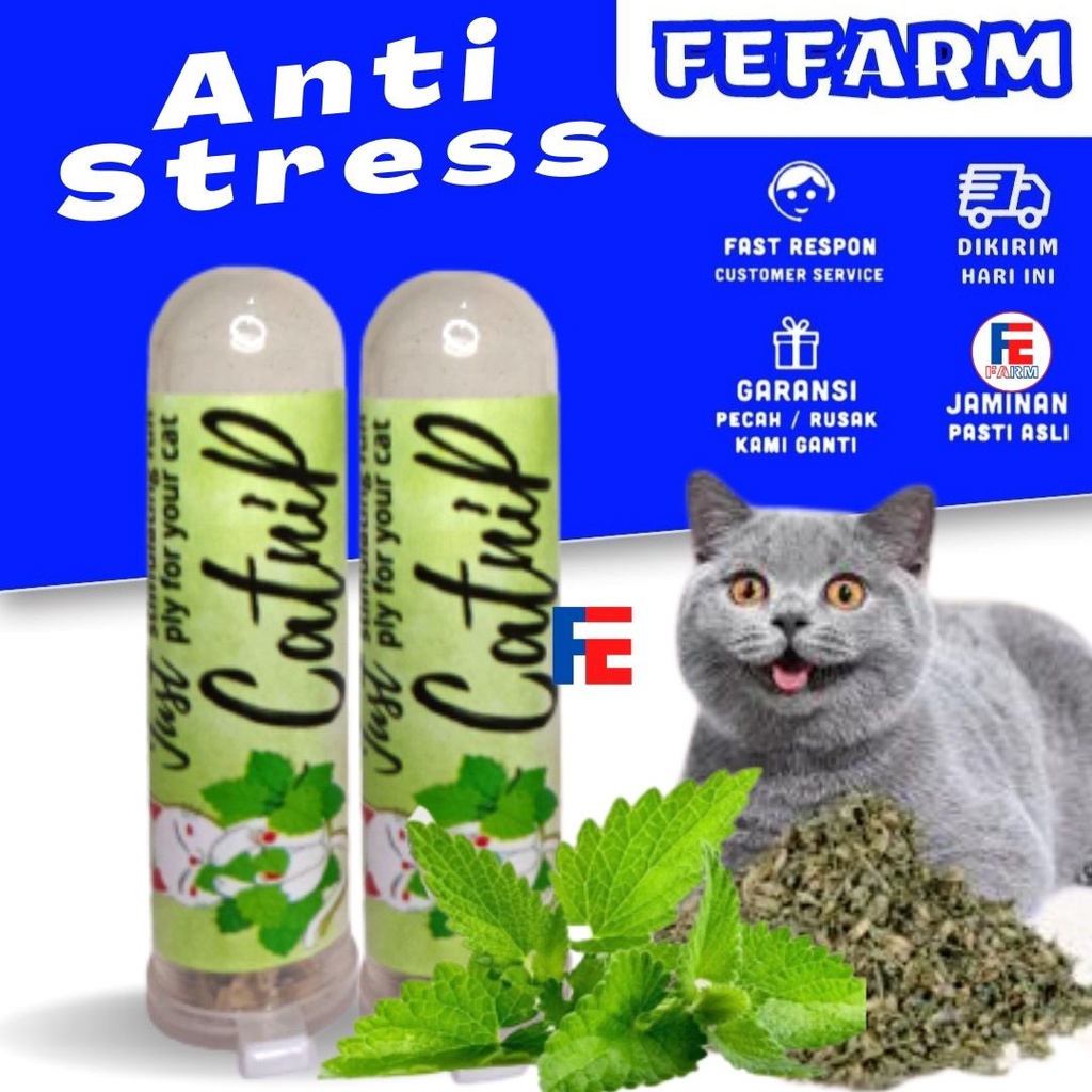Jual CATNIP POWDER CAT MINT TABUNG UNTUK KUCING FEFARM | Shopee Indonesia