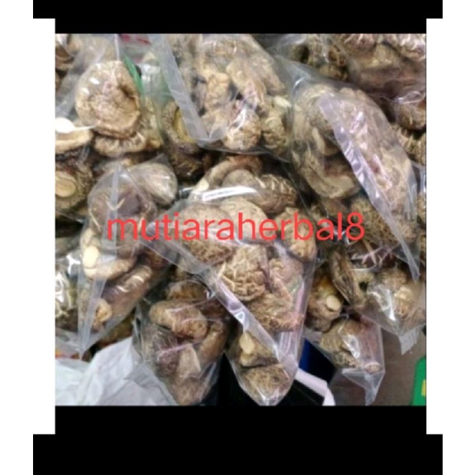 Jual Jamur Hioko 1kg / jamur shitake | Shopee Indonesia