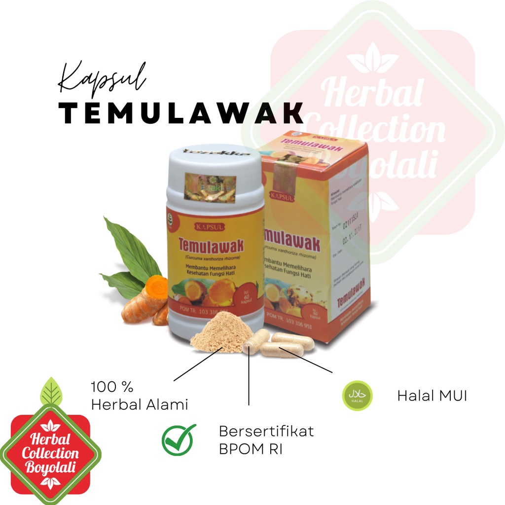 Jual Kapsul Herbal Temulawak Original Bpom Isi 60 Capsule Curcuma Obat ...